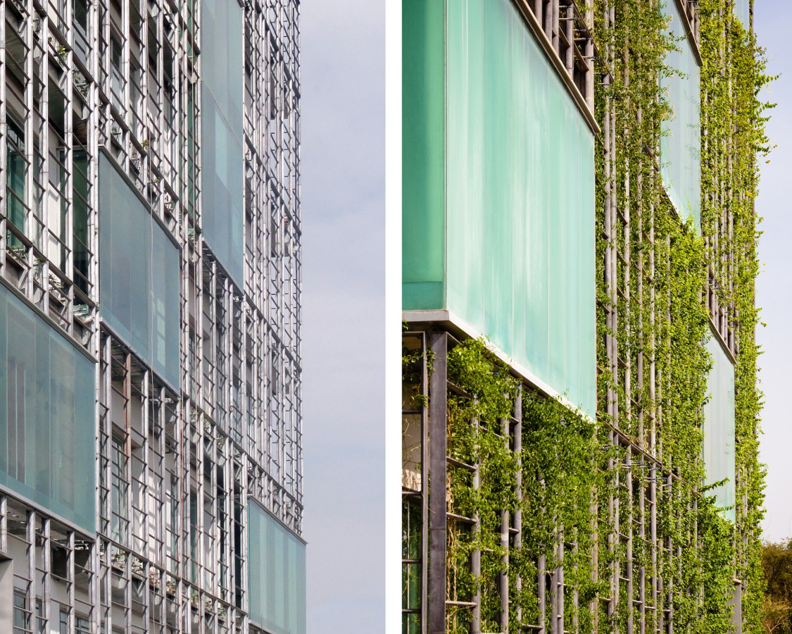 Green Facades - LB Enclosures